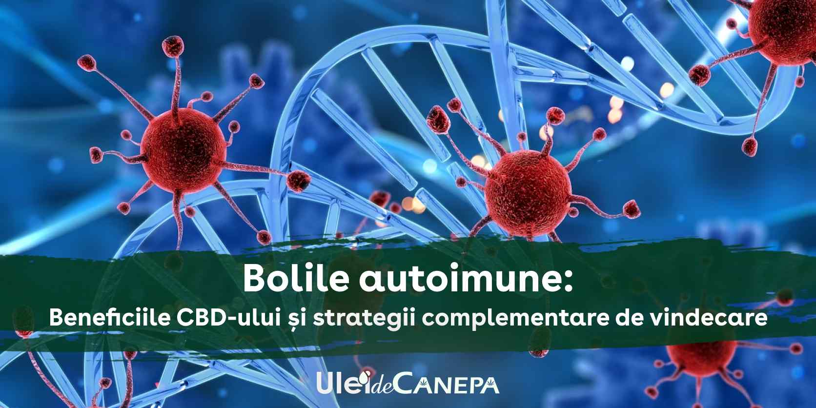 Bolile autoimune și uleiul CBD